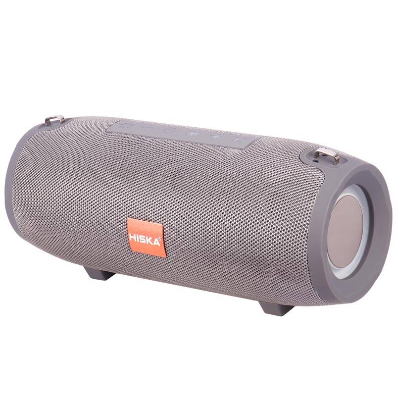 اسپیکر بلوتوثی رم و فلش خور قابل حمل هیسکا HISKA مدل B193